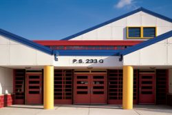 P233Q School Organization in District 75.